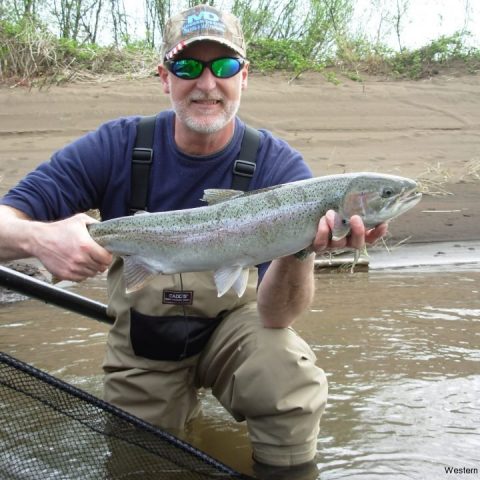 Steelhead – WFO | Western Fishing Operations
