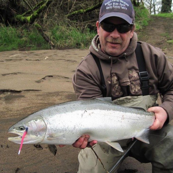 Steelhead – WFO | Western Fishing Operations